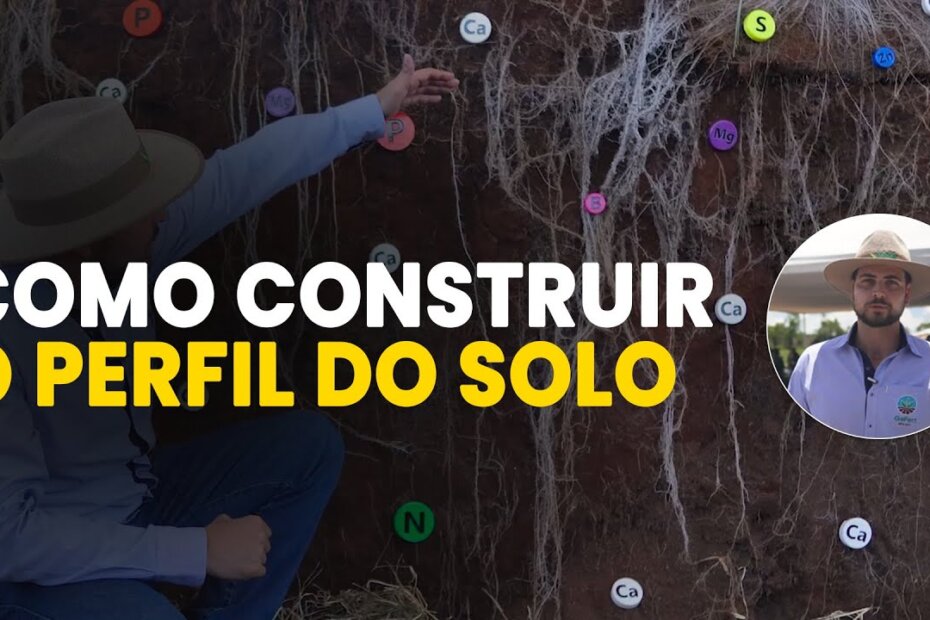 Segredos Do Solo: Construção Do Perfil 2024