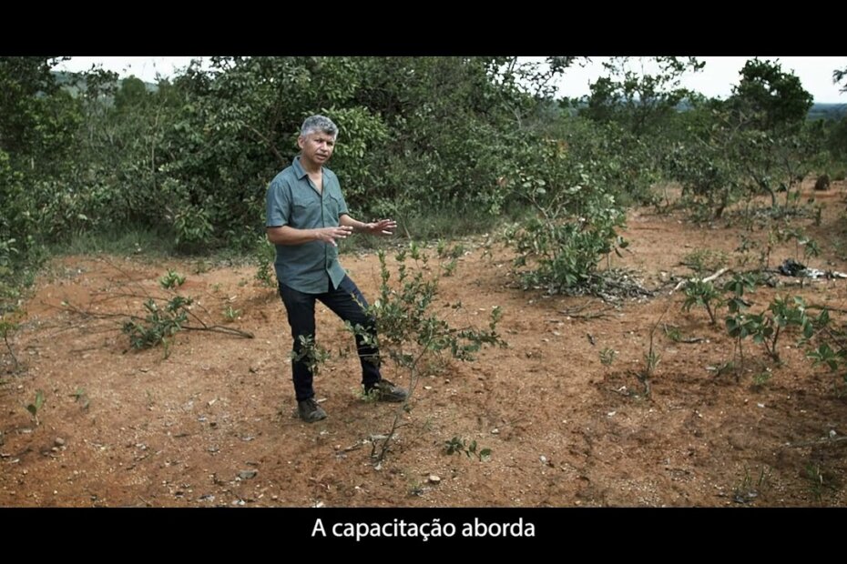 Curso Fundamentos E Práticas De Conservação De Solo E Água 2024