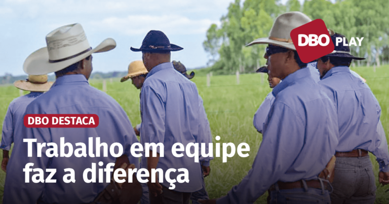 Descubra O Segredo Do Sucesso Na Pecuária • Portal DBO 2025